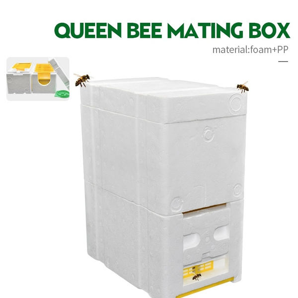 Double Layer More Closed Equipment Queen Bee Mating Box Suitable For ...