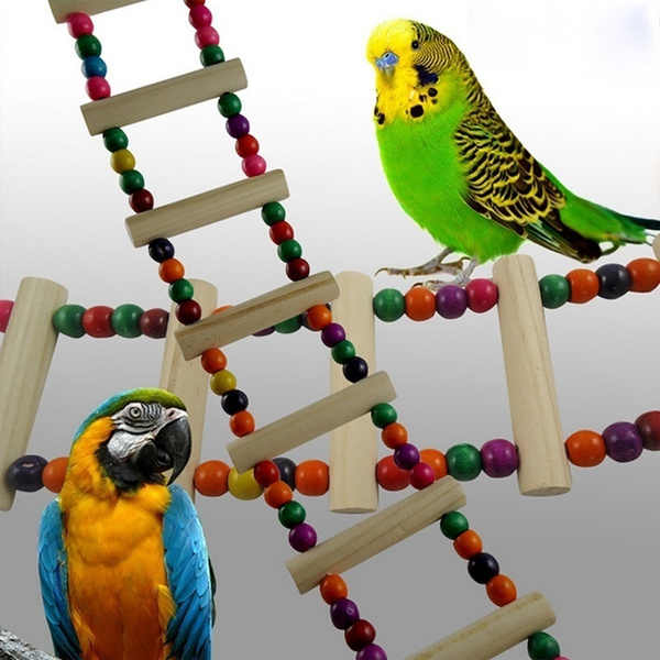 Bird Parrot Colorful Climbing Ladder Toy Parrot Swing Toys Parrot ...