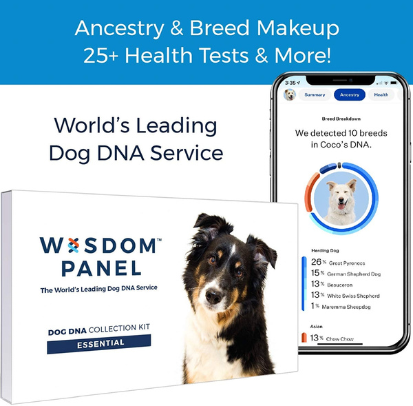 Wisdom Panel Essential – Dog DNA Test for Ancestry, Traits, and Medical ...