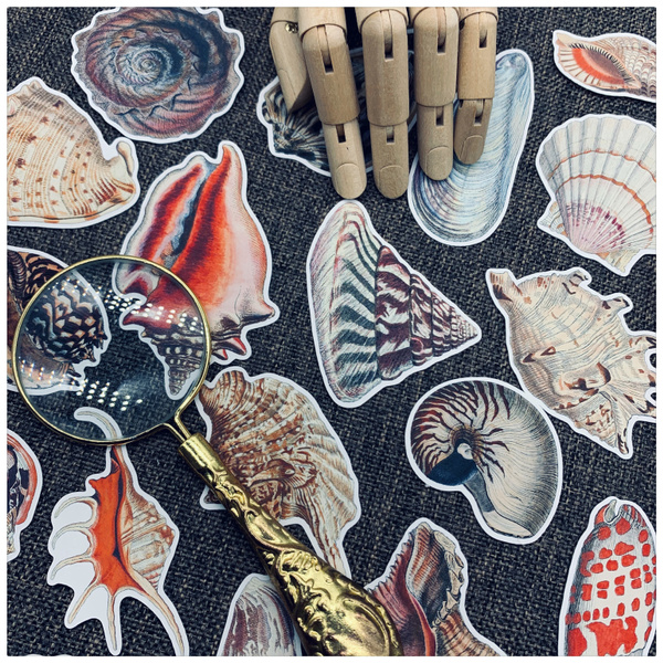 28pcs Stickers Journal Vintage Scrapbooking Marine Organism Shell ...