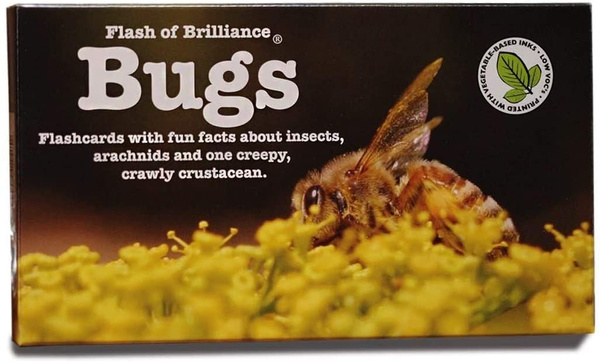 Flash of Brilliance Bug Flash Cards with Fun Facts | Wish