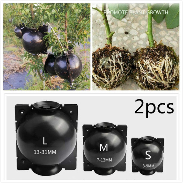 2PCS Plant Rooting Ball Grafting Rooting Growing Box Breeding Case for ...