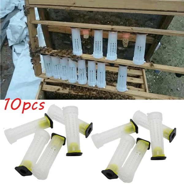 10pcs Beekeeper Equip Beehive Plastic Beekeeping Cell Protector Prevent ...