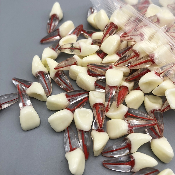 10 Pcs Dental Tooth model Root Canal RCT Practice Pulp Cavity Clear ...
