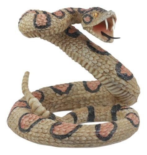 Lifelike Diamondback Rattlesnake Statue 6"H Realistic Snake Taxidermy ...