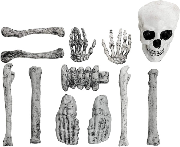 Halloween Haunters 20 Piece Bag of Plastic Life Size Burnt Rotten Flesh ...