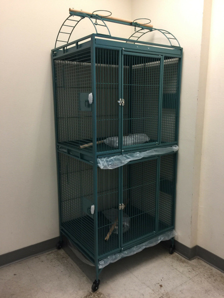 Waimea Wingplex Double Stackable Decker Wrought Iron Bird Parrot Flight ...