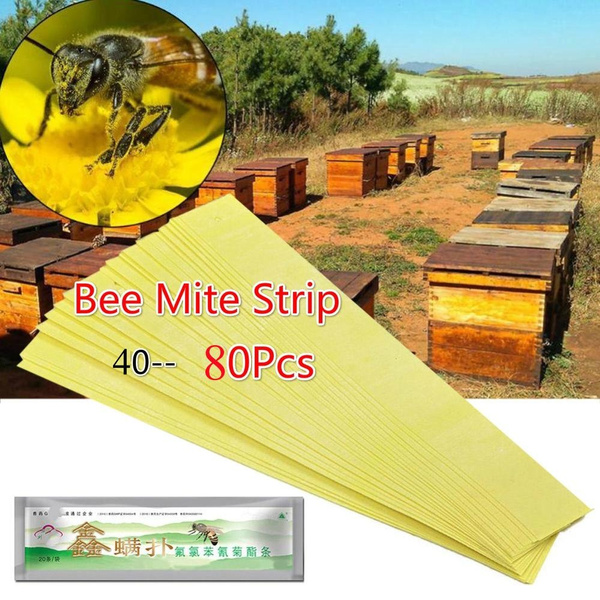 40/60/80pcs / Lot Professional Acaricidal Mite Strip Against ...