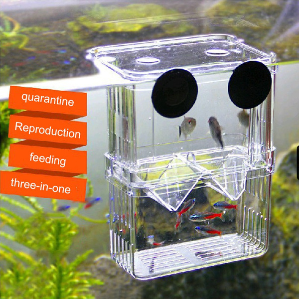 Clear Fish Breeding Box Aquarium Breeder Double Hatching Incubator ...