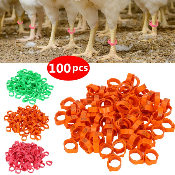 001-100 Numbered 100pcs/Bag Goose Ducks Chicken Poultry Foot Clip Rings ...