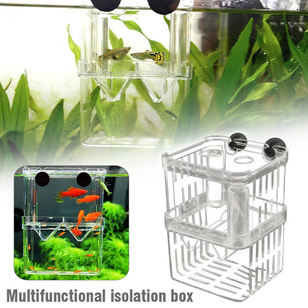 Clear Aquarium Hatchery Trap Fish Breeding Box Tank Fry Breeder ...