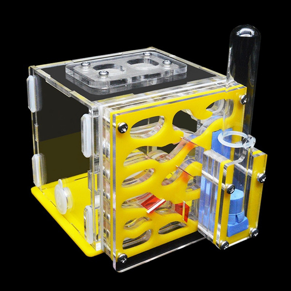 DIY Acryl Ant Farm Pet Anthill Ant Nest Workshop Ant House with ...