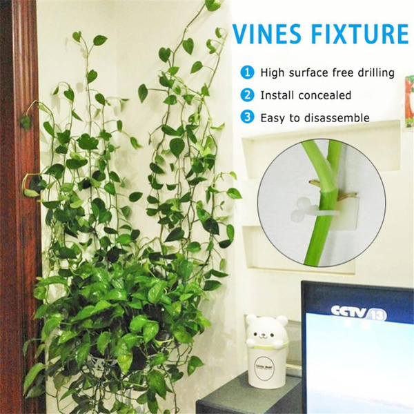 10PCS Plastic Plants Holder Climbing Hook Rattan Clamp Plant Clip Wall ...