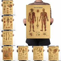 The Body Structure Skeleton Nervous System Vintage Poster Medical ...