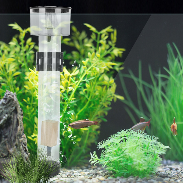 Acrylic Fish Tank Protein Skimmer Separator with IQ5 Aquarium Filter ...
