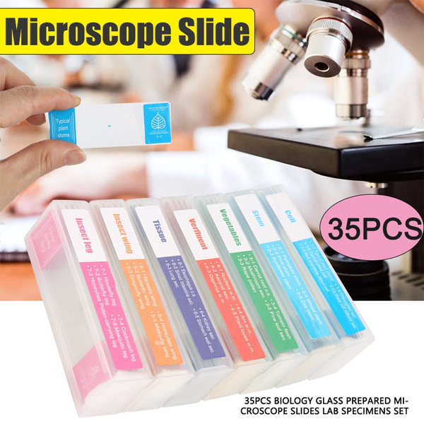 New 35pcs Biology Glass Prepared Microscope Slides Lab Specimens Set | Wish