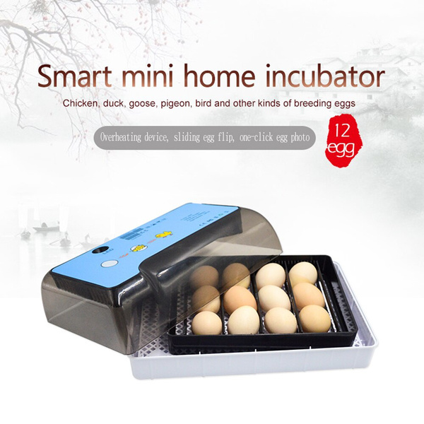 Eggs BIncubator 12 Eggs Digita Mini Automatie Incubatores Incubators ...