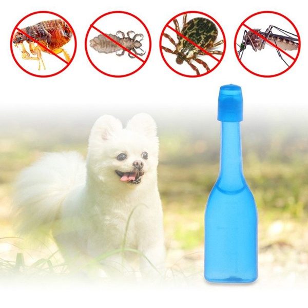 Pet Insecticide Flea Lice Insect Killer Spray For Dog Cat Puppy Kitten ...