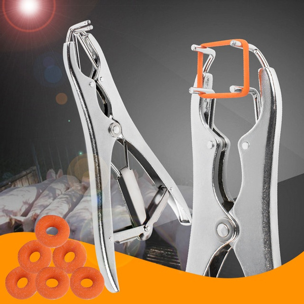 Elastrator Stainless Steel Castration Tail Docking Dogs Livestock With100 Bands Veterinary | Wish