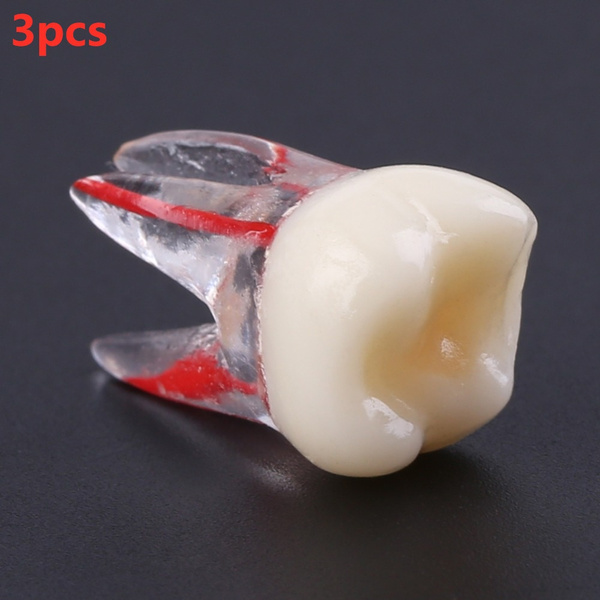 3Pc Dental Tooth model Root Canal RCT Practice Pulp Cavity Clear Resin ...