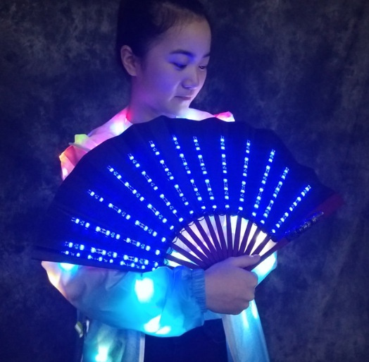 LED Folding Paper Fan Pattern Folding Dance Wedding Party Lace Silk ...