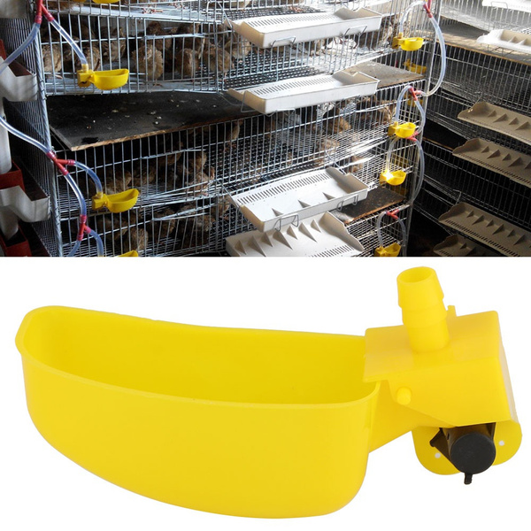 Quail Drinking Bowl 12 Pigeons Quail Waterer Feeder Drinking Cup Bowl ...