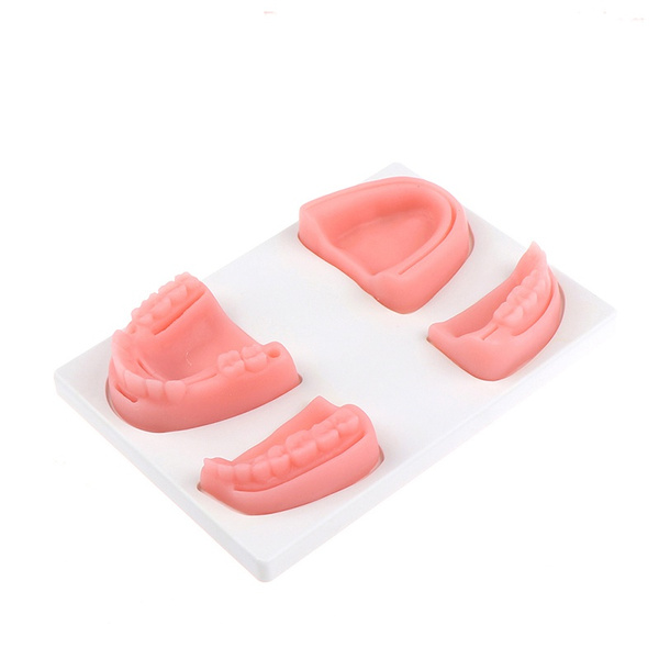 Dental Practice Model Gum Suture Training Silica Gel Model for Dental ... Dental Practice Model Gum Suture Training Silica Gel Model for Dental ...
