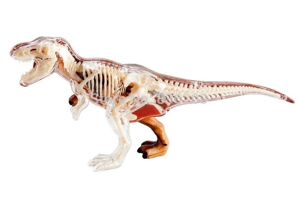 4D Master Vision T-REX Dinosaur ANATOMY MODEL Skeleton Model Fully ...