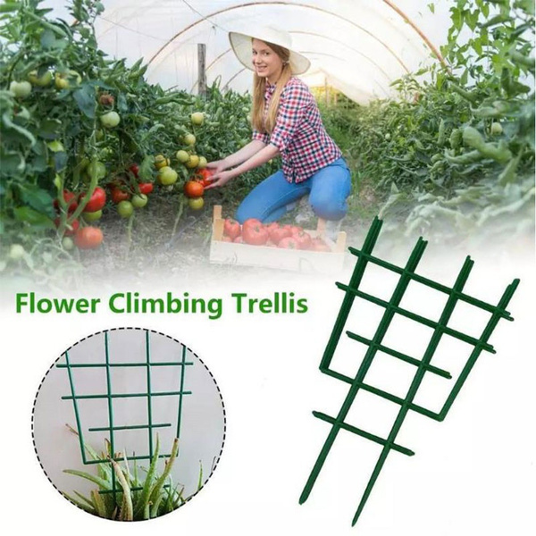 Plant Grid Garden Plant Support Frame DIY Crawling Grid Climbing Vine ...