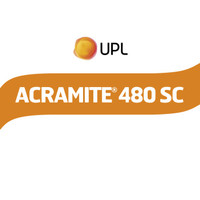 ACRAMITE 480 SC 300 cc | Wish