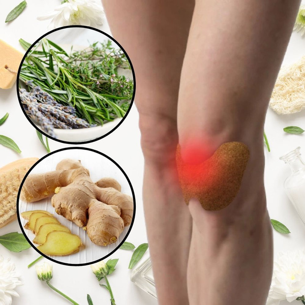 Knee Pain Relief Patch 10 PCS, Japanese Leg Korean Red Ginseng Joint ...