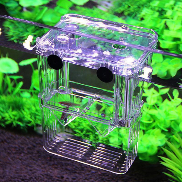 Aquarium Fish Tank Transparent Acrylic High Clear Fish Breeding ...