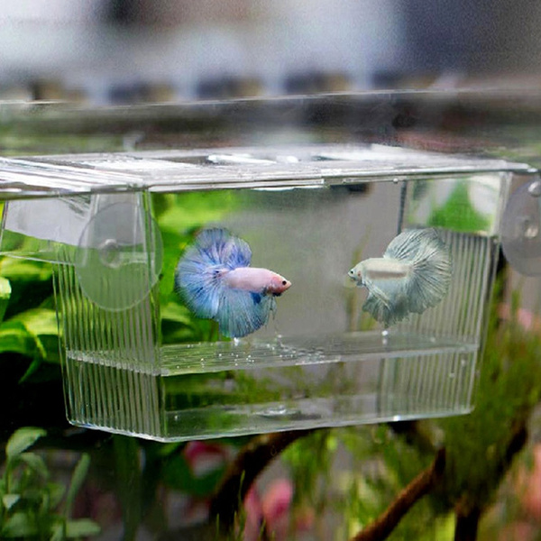 High Clear Transparent Acrylic Fence Fish Tank Breeding Isolation Small ...