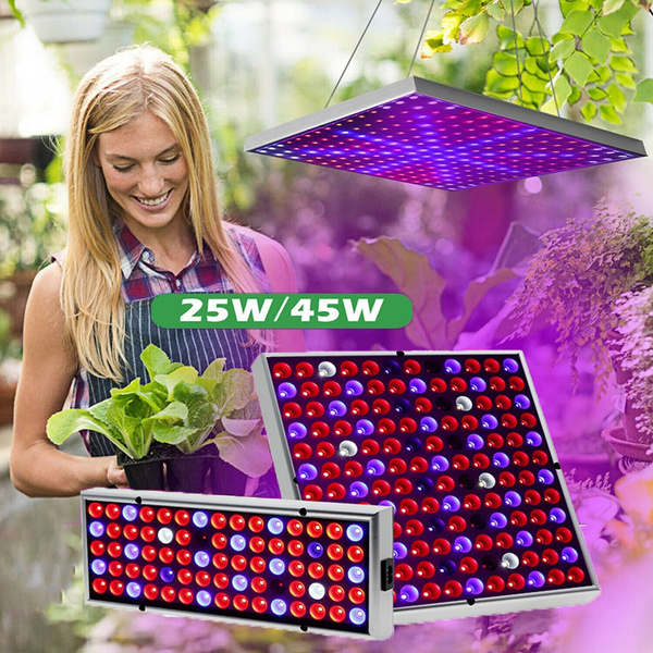 LED Grow Light Phyto Lamp Full Spectrum Floodlight Indoor Outdoor ...