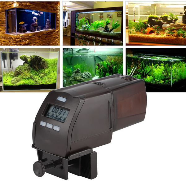 Intelligent Electric LCD Automatic Feeder with Fixing Clip for Fish ...