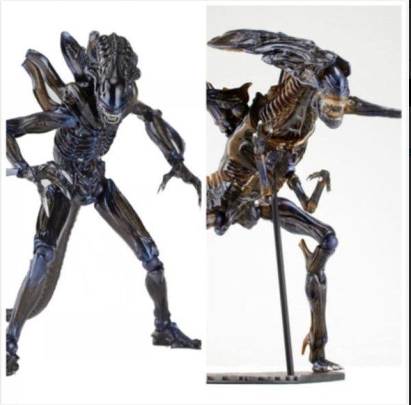 The Alien Fighter 016 or Alien Queen 018 Aliens Vs Predator Cartoon ...