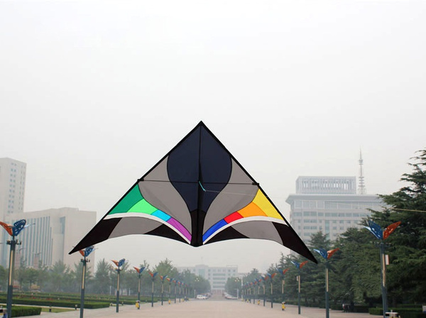 300Cm Quality Goods Power Triangle/Delta Kite with Handle and String ...