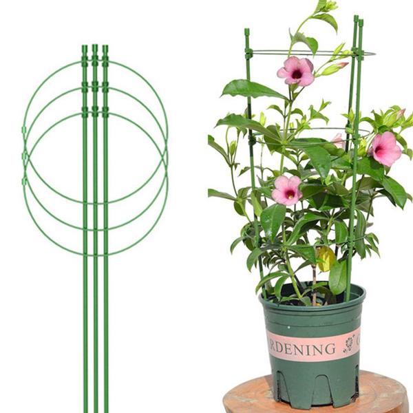 45/60cm Plants Climbing Frame Climbing Vine Rack Plant Potted Support ...
