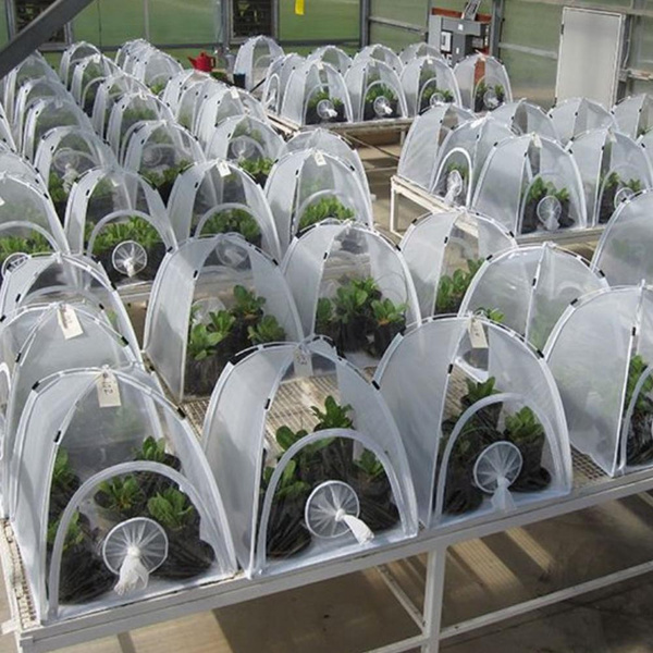 Multifunctional Plant Insulation Shed Garden Greenhouse Folding Mini ...