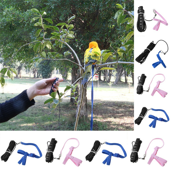 Bird Harness Leash Adjustable Rope Training For Parrot Birds 1Pc ...