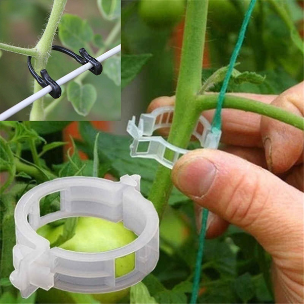 50pcs Garden Plant Tied Buckle Fixed Lashing Hook Agricultural ...