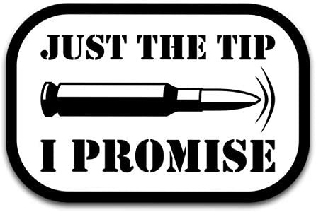 2PCS Just The Tip I Promise Vinyl Decal Sticker | Wish