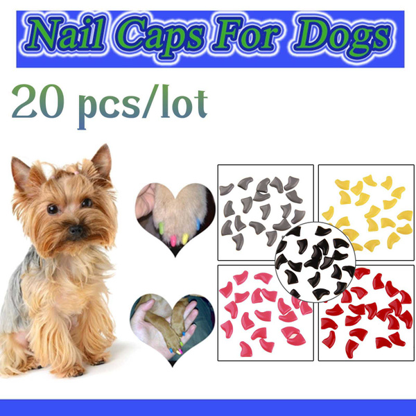 New 20 Pcs Colorful Soft Plastic Nail Caps Nail Covers Claw Caps Paw ...