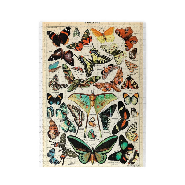 Papillon I Vintage French Butterfly Charts By Adolphe Millot Poster ...