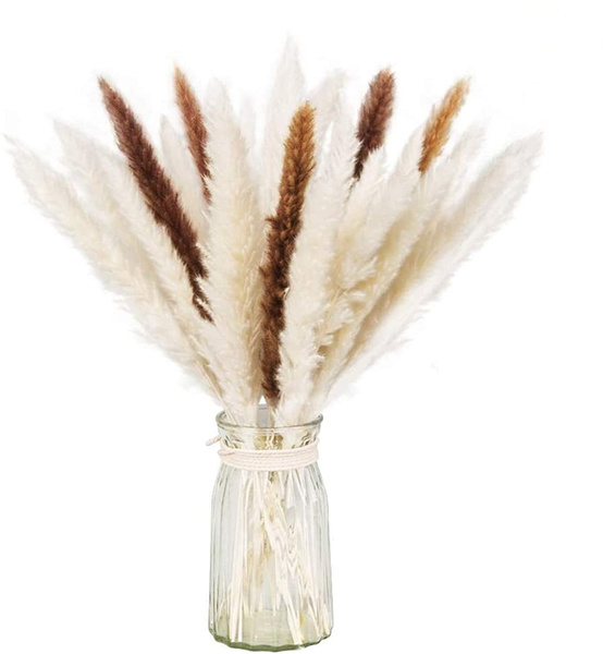 15/30 Pcs Dried Pampas Grass Plumes Bundle Set Reed Wedding Decor ...