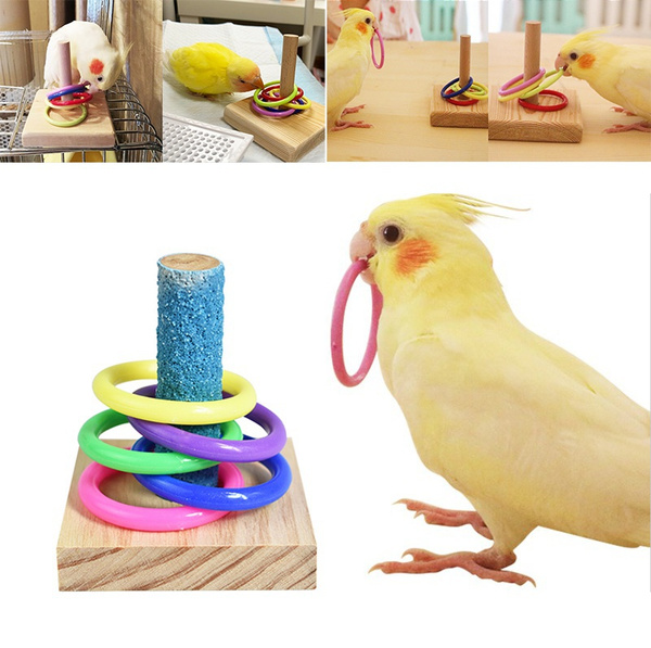 Wooden Parrot Bird Educational Toy Ring Bird Bite Toys Pet Bird ...