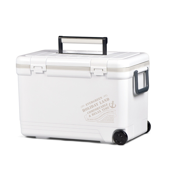 Camping ice box, white, 27L | Wish