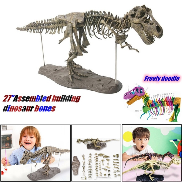4D Tyrannosaurus Fossil Skeleton Model Length 70cm DIY Dinosaur ...