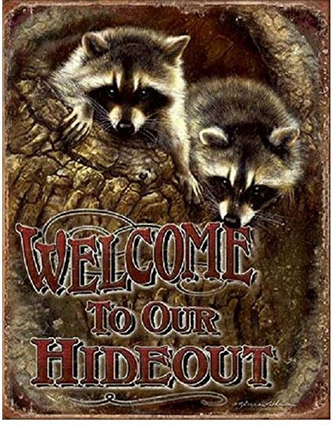 ZMKDLL Welcome to Our Hideout Raccoons House Rustic Cabin Wall Decor ...