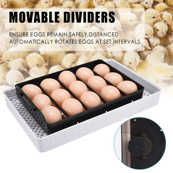 15 Holes Automatic Incubators Digital Poultry Incubator with ...